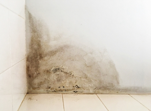 How To Find A Water Leak Inside A Wall - Five Star Plumbing